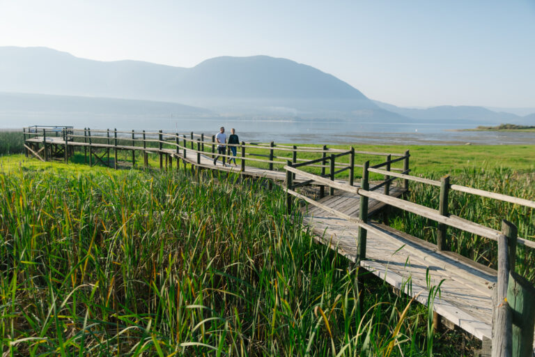 Official Shuswap Tourism Website | Explore the Shuswap