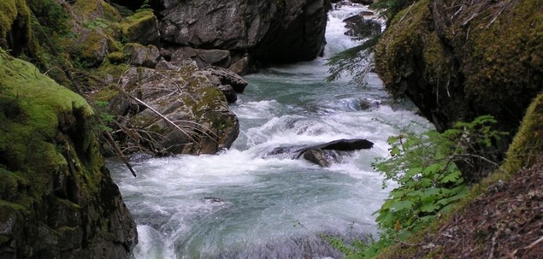 Things to Do - Official Shuswap Tourism Website