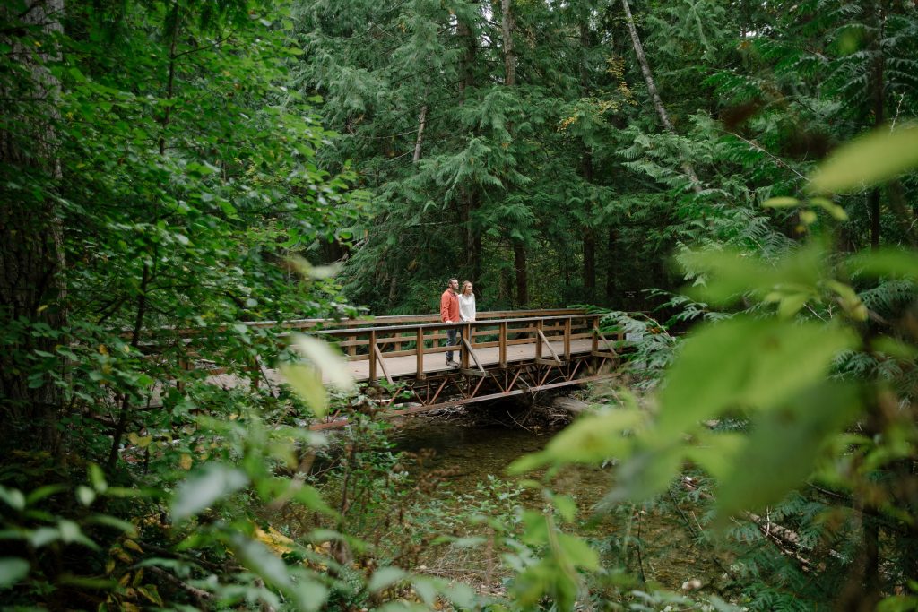 North Shuswap Archives - Official Shuswap Tourism Website